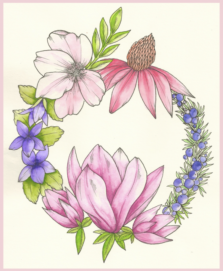 The History and Philosophy of Native American Herbal Medicine ...